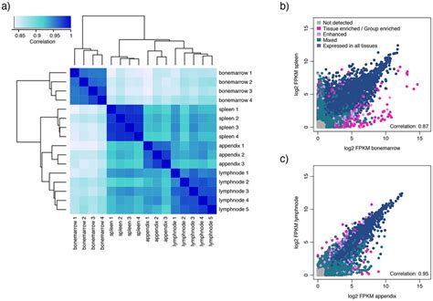 Dendrogram And Correlation Plots For The Lymphohematopoietic Tissues