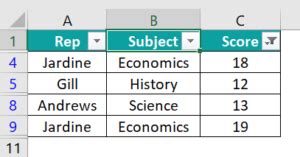 VBA Filter Data In Excel Examples Specific FIlters How To Use