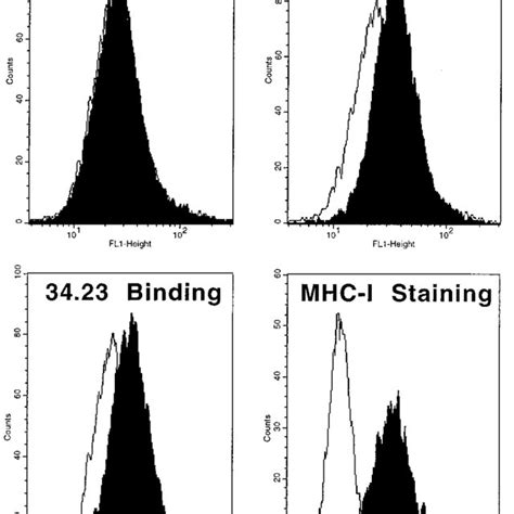 Envelope Glycoprotein Expression Vectors Ecotropic And Amphotropic Download Scientific Diagram