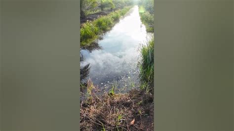 Dia Test Saja Youtube