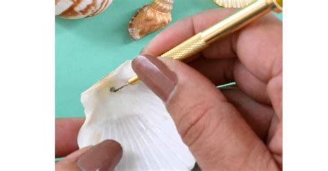 How To Make A Hole In A Seashell Without Breaking It