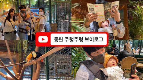 육아vlog 동탄 주렁주렁 브이로그 육아 초보맘 Youtube