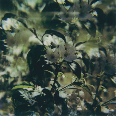 Eulogy Virtues Benoît Pioulard