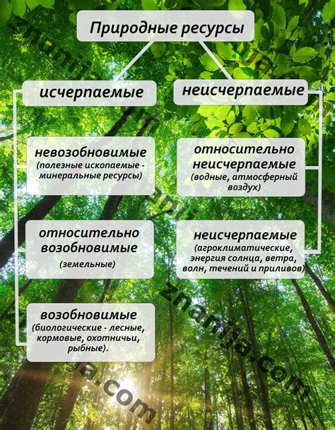 составьте схему классификации природных ресурсов Школьные Знанияcom