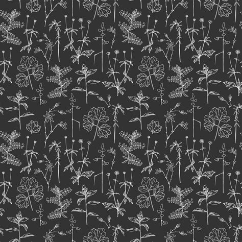 Field Grass Seamless Pattern In Hand Drawn Style Wild Nature Herbal