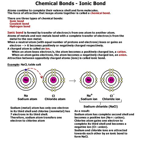 General Biology 1 Biol 1406