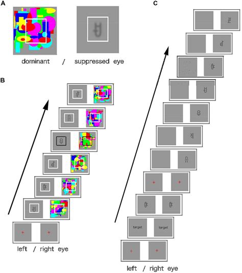 A An Example Of Stimulus Configuration Participants Saw The Display