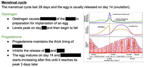 biology igcse topic 3 notes reproduction and inheritance conjunto