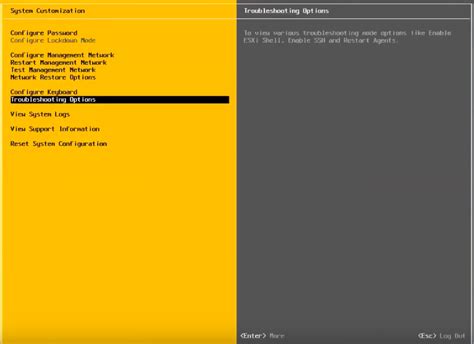 Enable Ssh On The Esxi Host Know It Like Pro