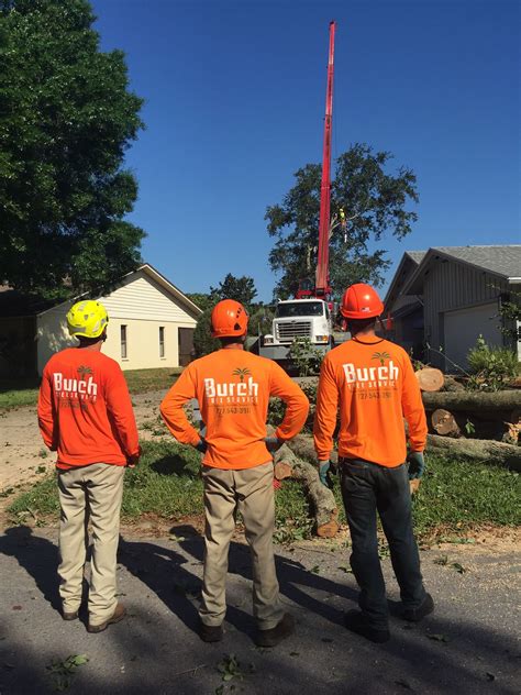 Burch Tree Service Inc Pinellas Park Fl