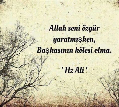 Özgürlük sözleri Kısa uzun ve anlamlı özgürlük ile ilgili sözler