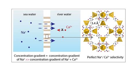 Artificial Sodium Channels For Enhanced Osmotic Energy Harvesting