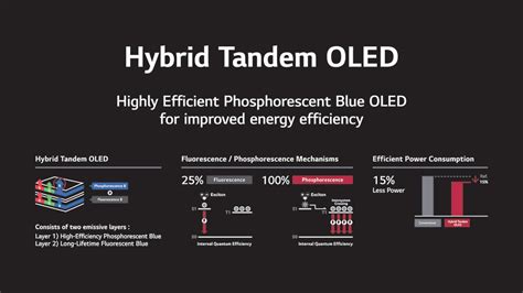 Lg Display Reaches Final Step To Achieving Dream Oled Pro