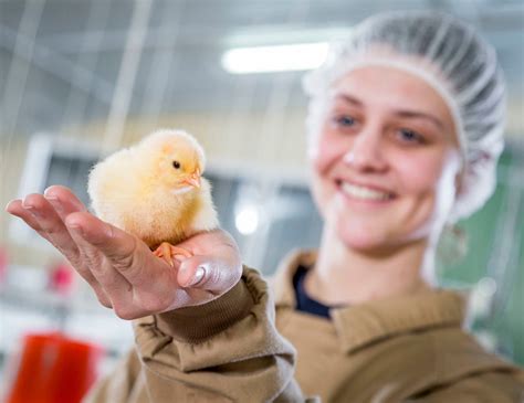 Trouw Nutrition Ippe 2025 Trouw Nutrition