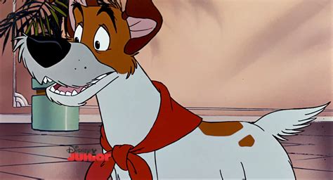 Oliver And Company Dodger 12 By Jaidenray On Deviantart