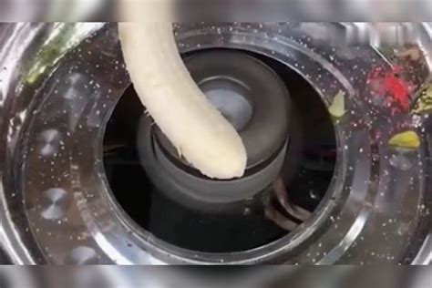 印度小伙发明的水果棉花糖满满的创意难怪人家能月入过万