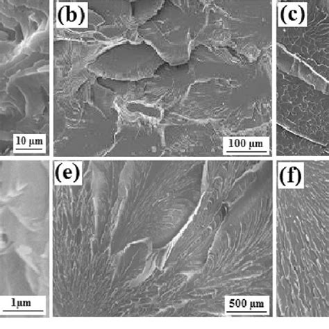 Sem Images A B C Reveal 01 03 05 Wt Gnpsepoxy Composites