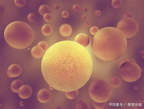 女性身體有這個4特徵，屬於易孕體質，看看你是嗎？ 每日頭條