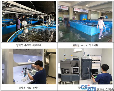 경기도 해양수산자원연구소 경기도 생산 수산물 안전 검사 강화
