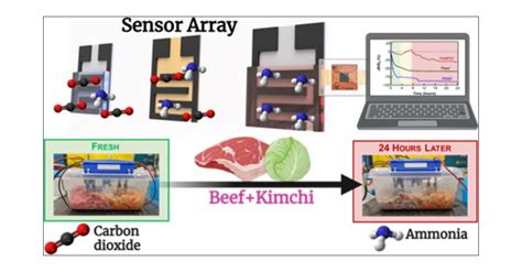 Developing A Chemiresistive Gas Sensor Array For Simultaneous Detection Of Ammonia And Carbon