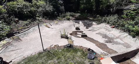 Renovating An Old Concrete Pond Before And After Well Still A Lot