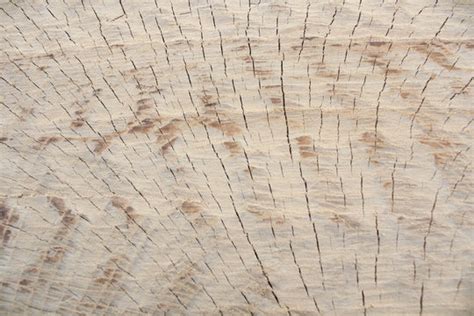 รูปภาพlogaritm เลือกดูภาพถ่ายสต็อก เวกเตอร์ และวิดีโอ47932 Adobe Stock