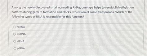 Solved Among The Newly Discovered Small Noncoding Rnas One