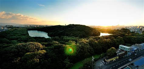 百舌鳥・古市古墳群 日本語top｜世界文化遺産登録をめざす 百舌鳥・古市古墳群（もず・ふるいちこふんぐん）