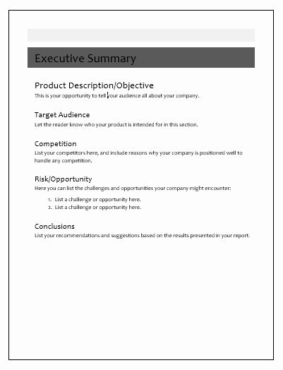 Executive Summary Template Microsoft Word Markmeckler Template Design