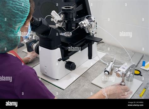 Doctor Under Microscope With Micromanipulator Carries Out Fertilization Of Egg Stock Photo Alamy