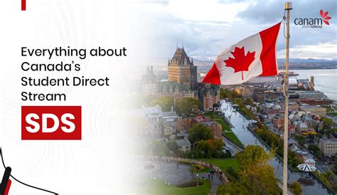 Everything About Canadas Student Direct Stream Sds Canam