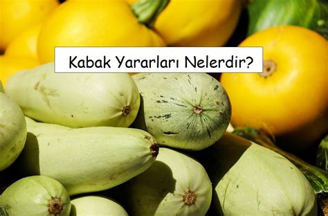 Kabak Yararları Nelerdir Gelecekten Net
