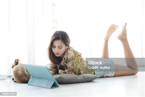 집에서 창 근처 라이프 스타일 컨셉으로 고양이와 함께 바닥에 태블릿을 사용 하 여 행복 한 아시아 여성 검색에 대한 스톡 사진 및 기타 이미지 Istock