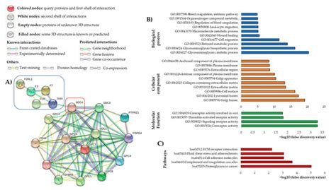 Cancers Free Full Text The Tissue Factor Pathway In Cancer