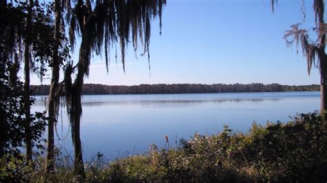 Camping At Lake Louisa State Park Camping Coder