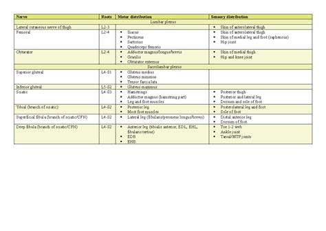 Nerve Summary In Lower Limb Nerve Roots Motor Distribution Sensory