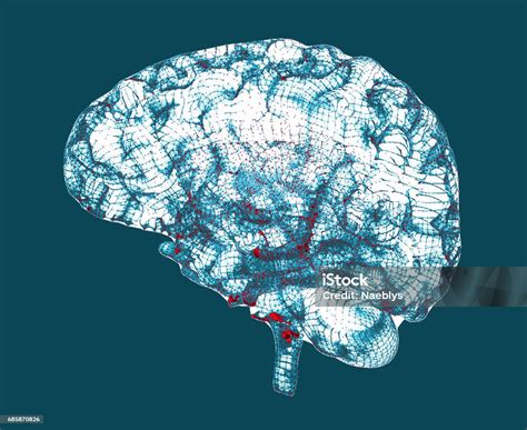 Otak Neuron Sinapsis Sirkuit Jaringan Saraf Neuron Penyakit Degeneratif