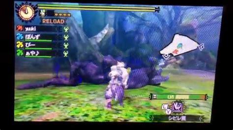 【mh4g】極限ラージャン単体 Lv140 飯種なしハメ 0128 Youtube