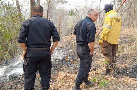 Noticia Provincia Y Nación Continúan Con El Operativo Para Combatir