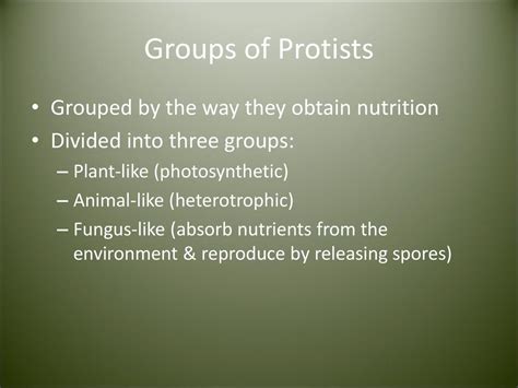 Protists Ppt Download