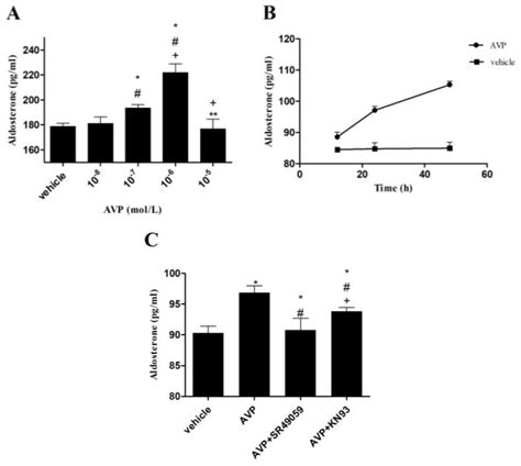 Phosphorylation Of Camk And Creb Mediated Cardiac Aldosterone Synthesis Induced By Arginine