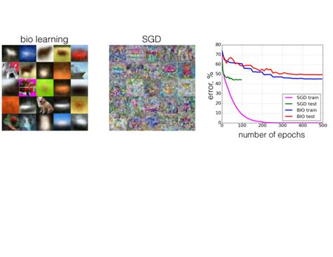 Unsupervised Learning By Competing Hidden Units DeepAI