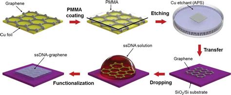 Dna Functionalized Graphene Sensor For Breath Analysis