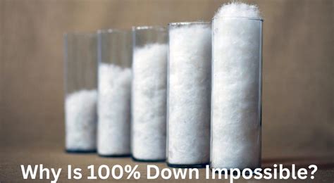Where Are The 100 Down Products Downlite Blog Downlite