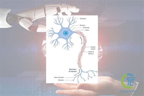 Ai Safety Llms And Humans Are Not Directly Comparable