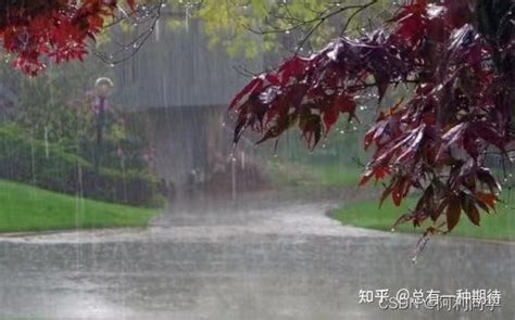 图像去雾 图像去雨（matlab Python） 知乎