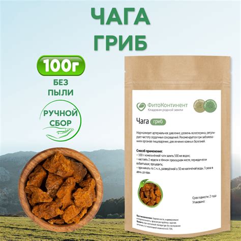 Чага гриб чайный напиток, 100гр купить на OZON по низкой цене (1261326005)