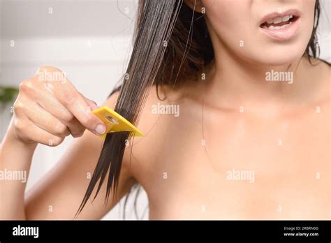 Woman Combing Out Lice In Her Hair With A Lice Comb Grimacing As She