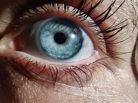 My Icy Blue Eyes Reyes