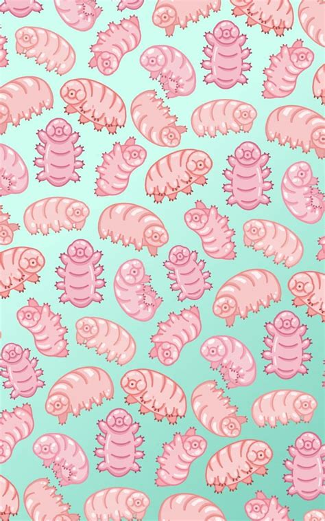 Tardigrade 1920×1080 Hd Wallpaper Pxfuel